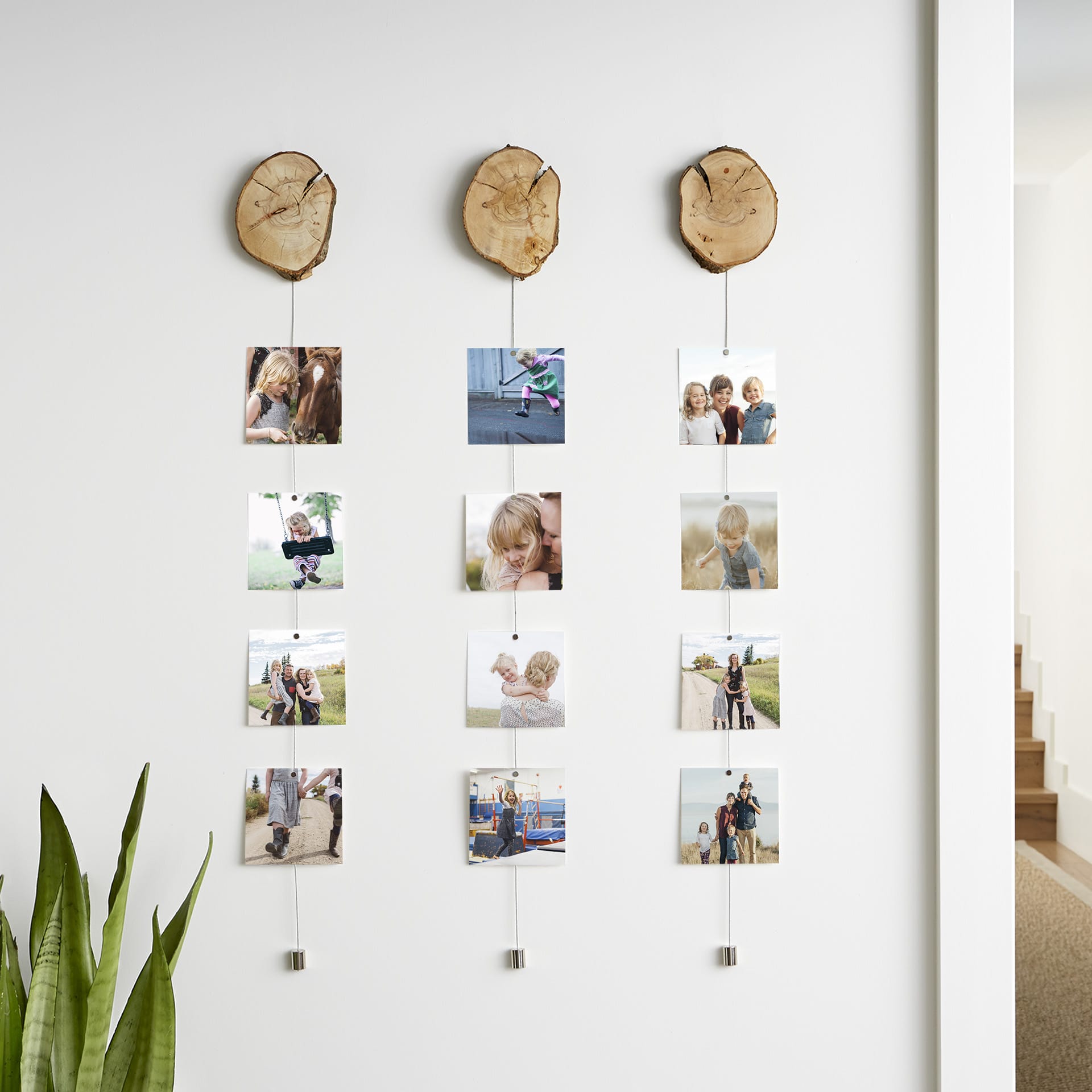 Which Style Of Photo Print Should I Choose Snapfish UK