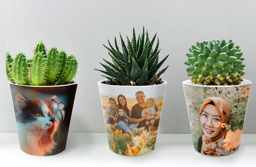 Design Your Own Cute Plant Pot With Camera Pictures | Snapfish UK